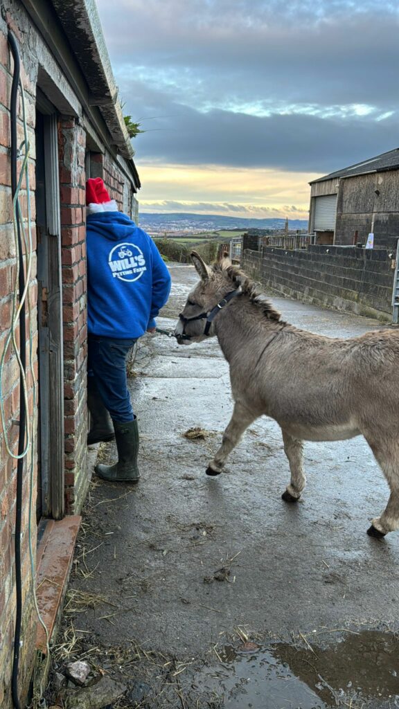 Will's Farms – Get ready to meet and greet our amazing animals for a ...